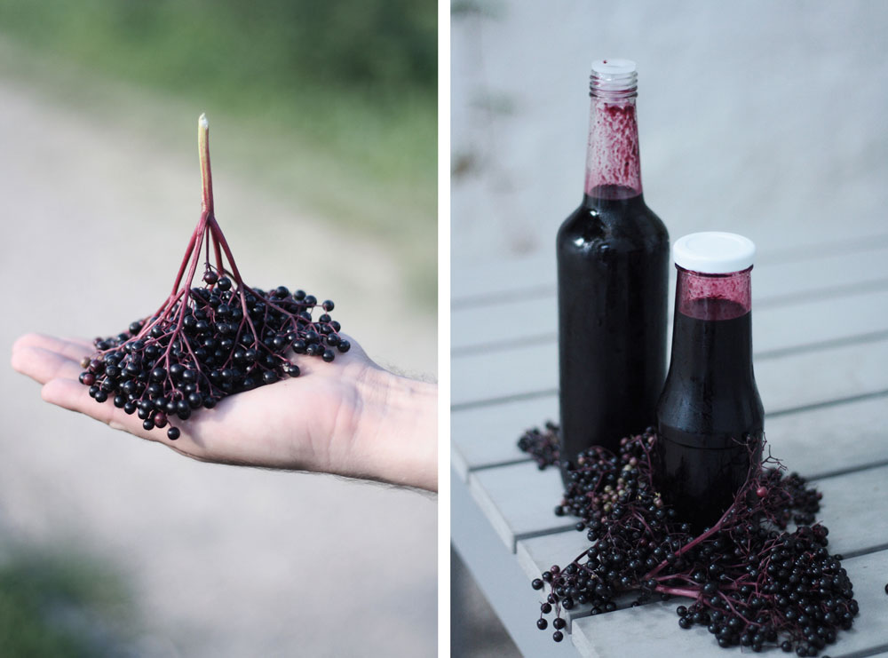 Sirup z plodů bezu černého | Děvče u plotny